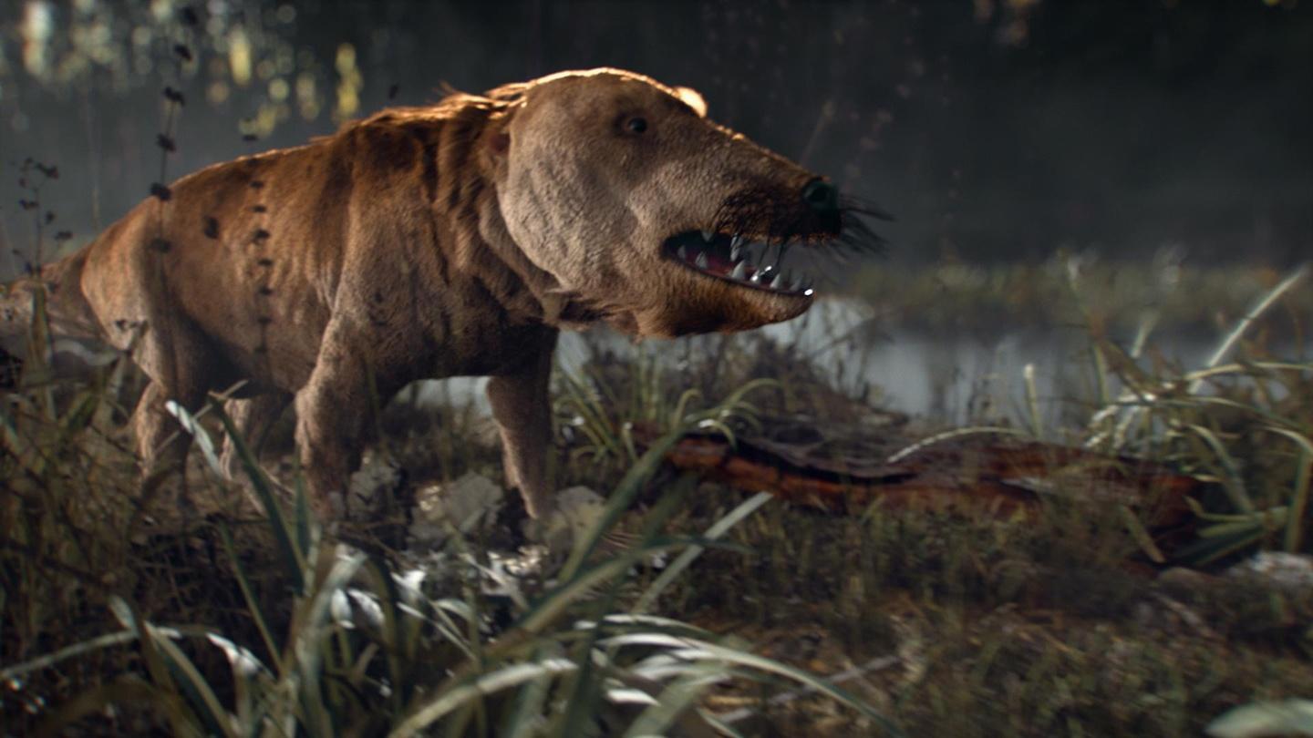 Ancient Whales | When Whales Walked