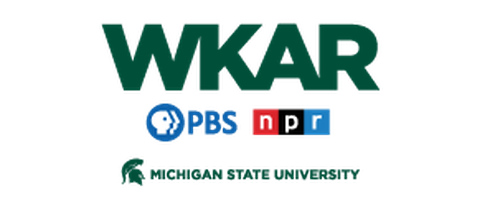 Michigan Learning Channel