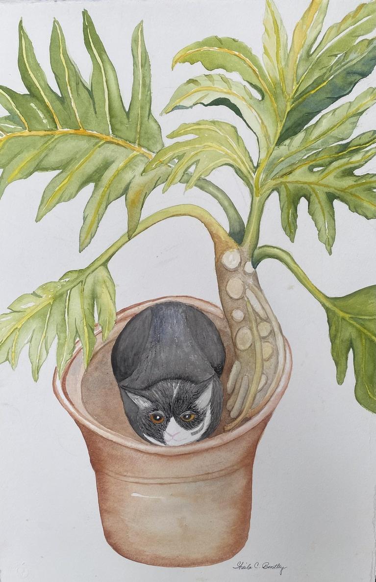 Gallery Ten Ninety One