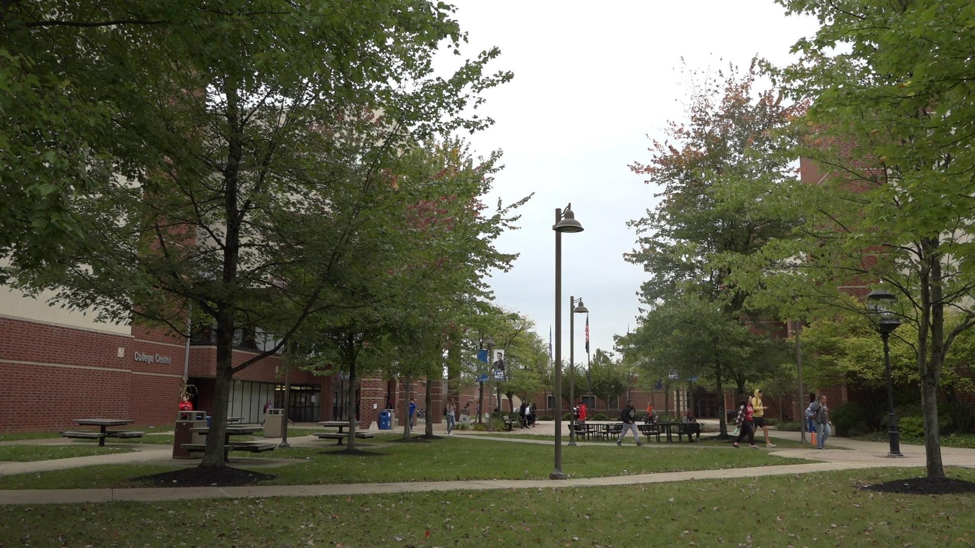 NCC Arboretum Showcases Campus Trees