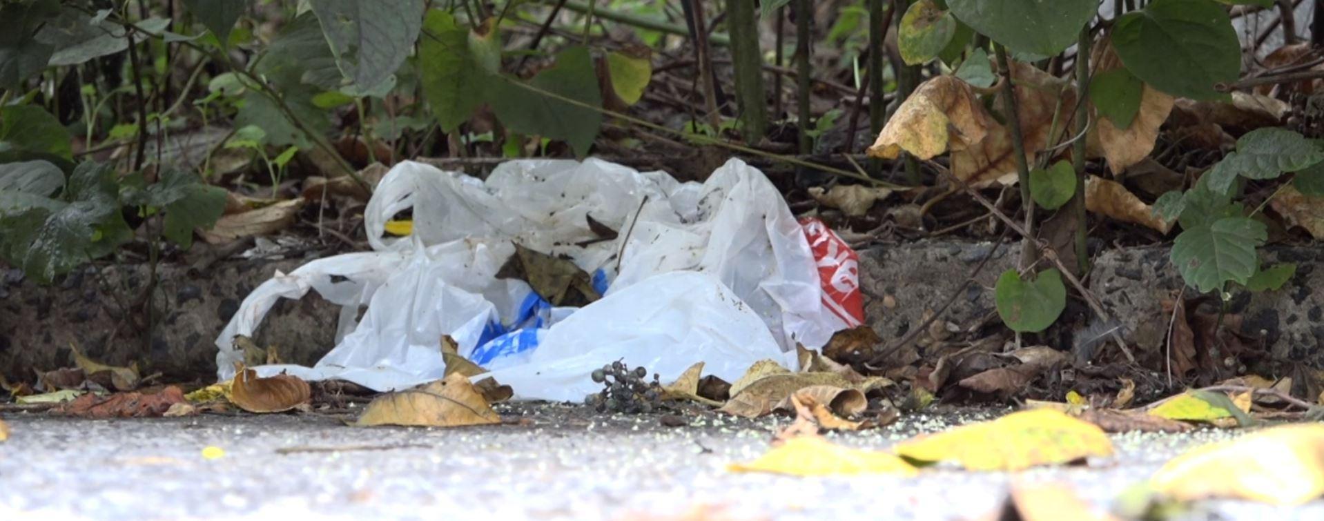 PBS39 | Public Television for the Greater Lehigh Valley.