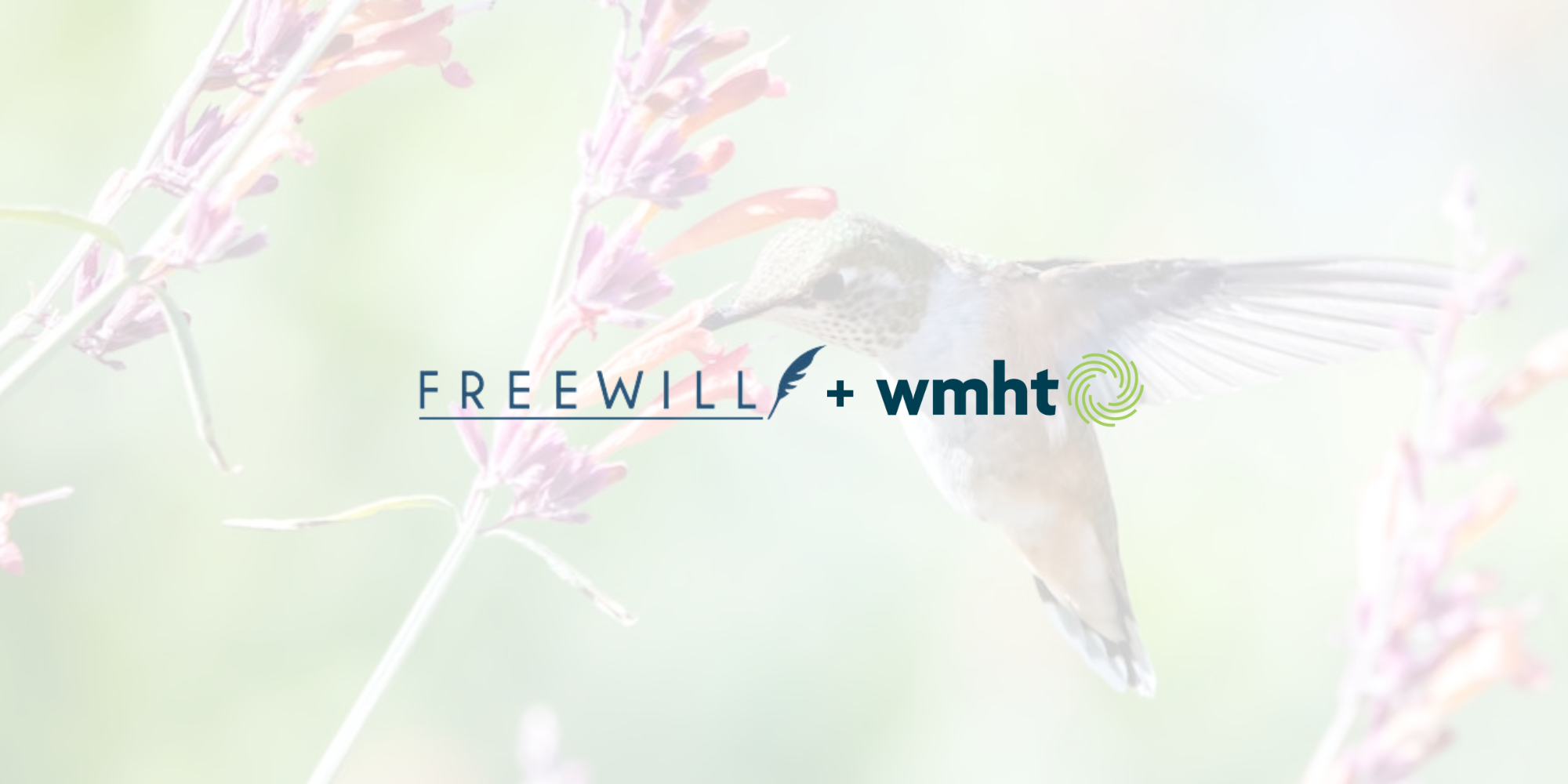 WMHT | Public Media Serving Eastern New York and Western New England