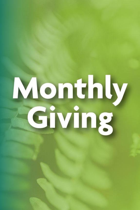 WMHT | View Interactive Schedule