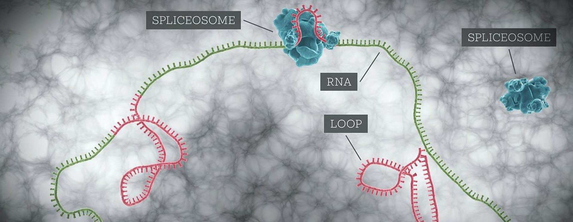 Independent Lens, Cracking the Code: Phil Sharp and the Biotech ...