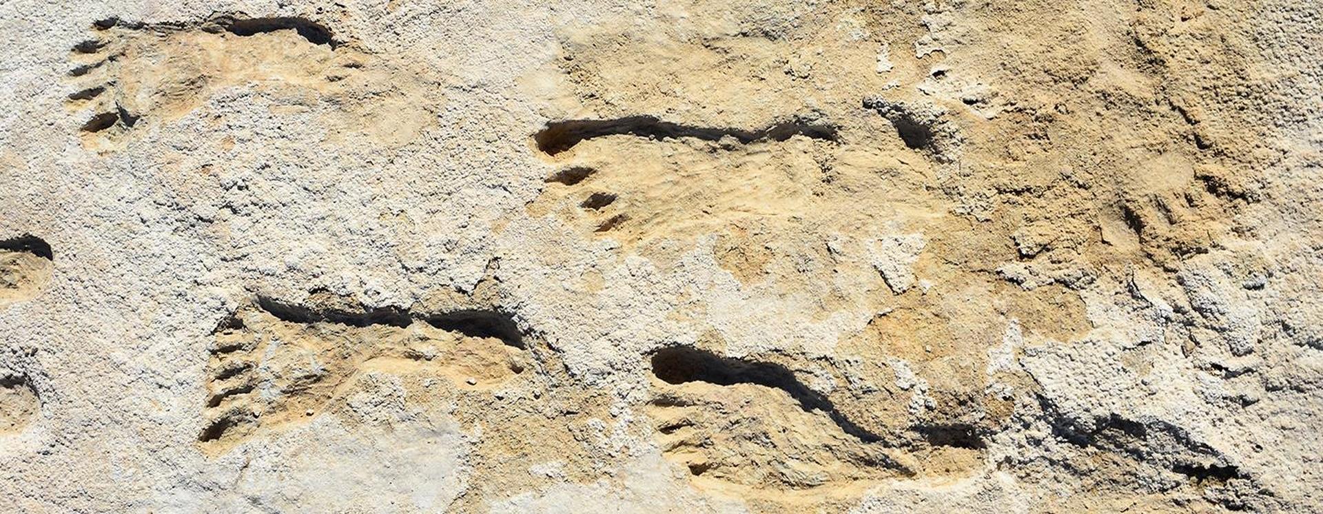 Nova, Ice Age Footprints | PBS Western Reserve