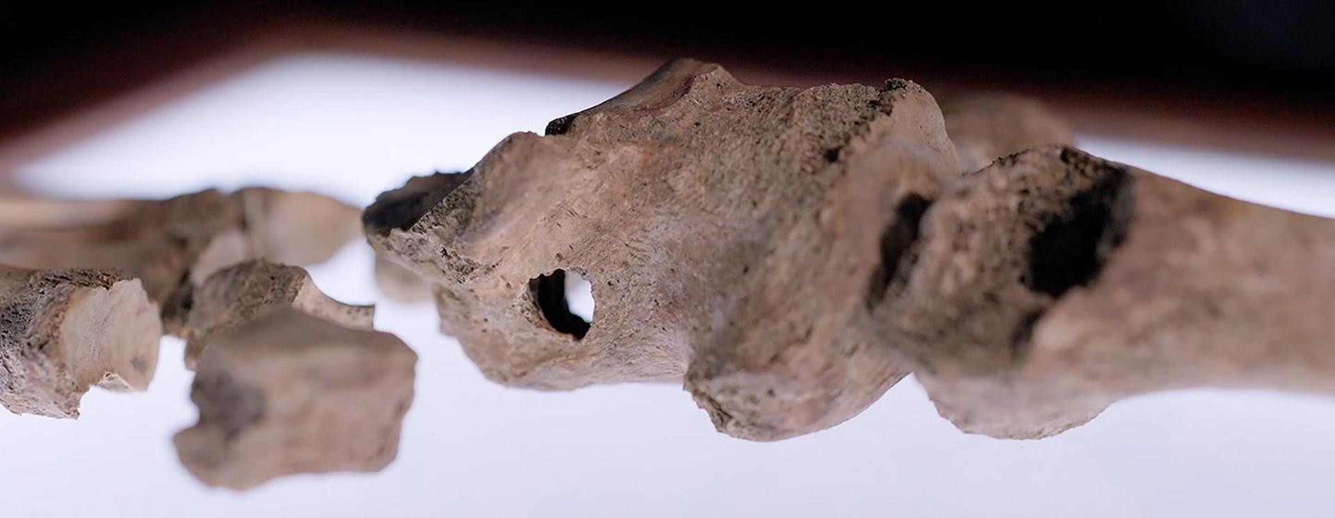 Secrets of the Dead, Death in Britannia | PBS Western Reserve