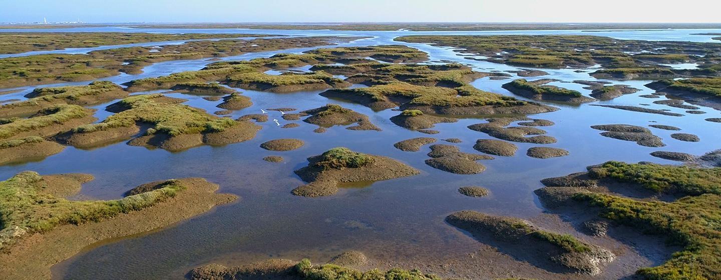Nature, Portugal: Wild Land on the Edge | PBS Western Reserve
