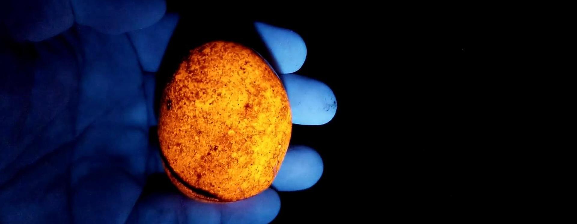 Great Lakes Now, Ancient Rocks, Tender Fruit | PBS Western Reserve