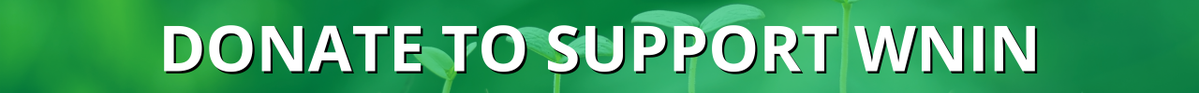 WNIN
