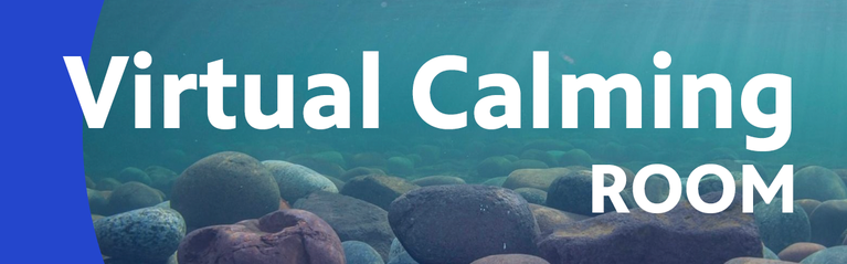 WNMU-TV Virtual Calming Room