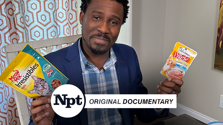 NPT | Nashville Public Television (WNPT)