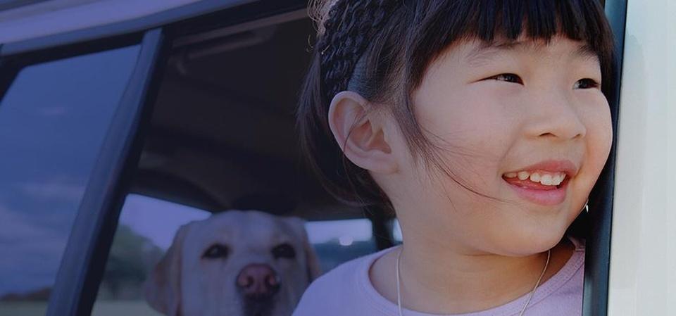 NPT | Nashville Public Television (WNPT)