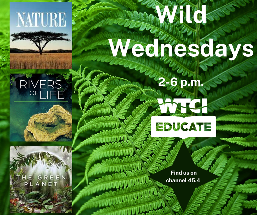 WTCI Educate