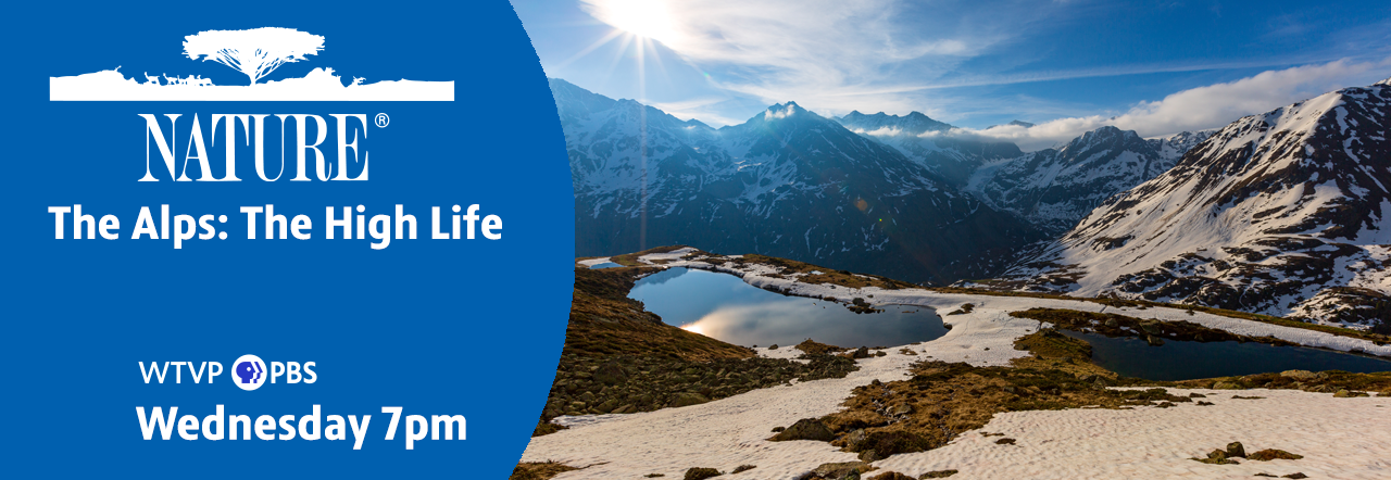 WTVP | Public Media for Central Illinois