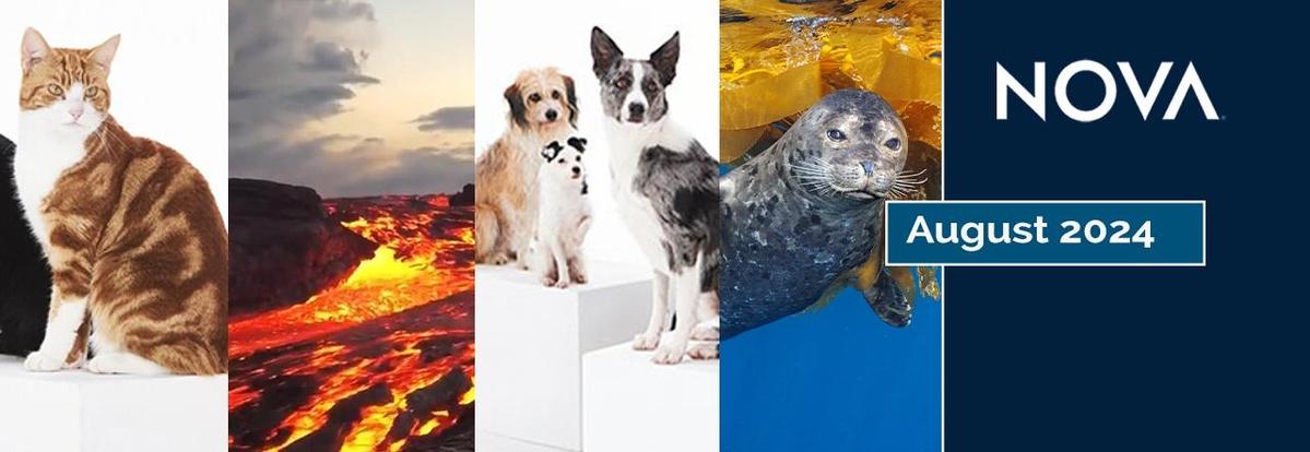 WTVP | Public Media for Central Illinois