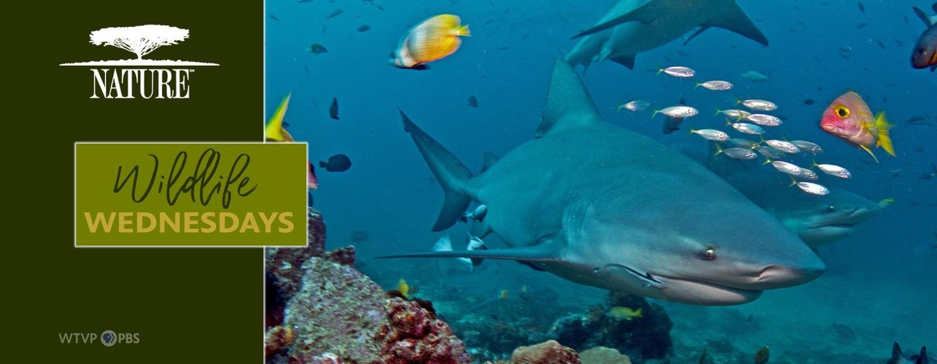 Nature | August 2023