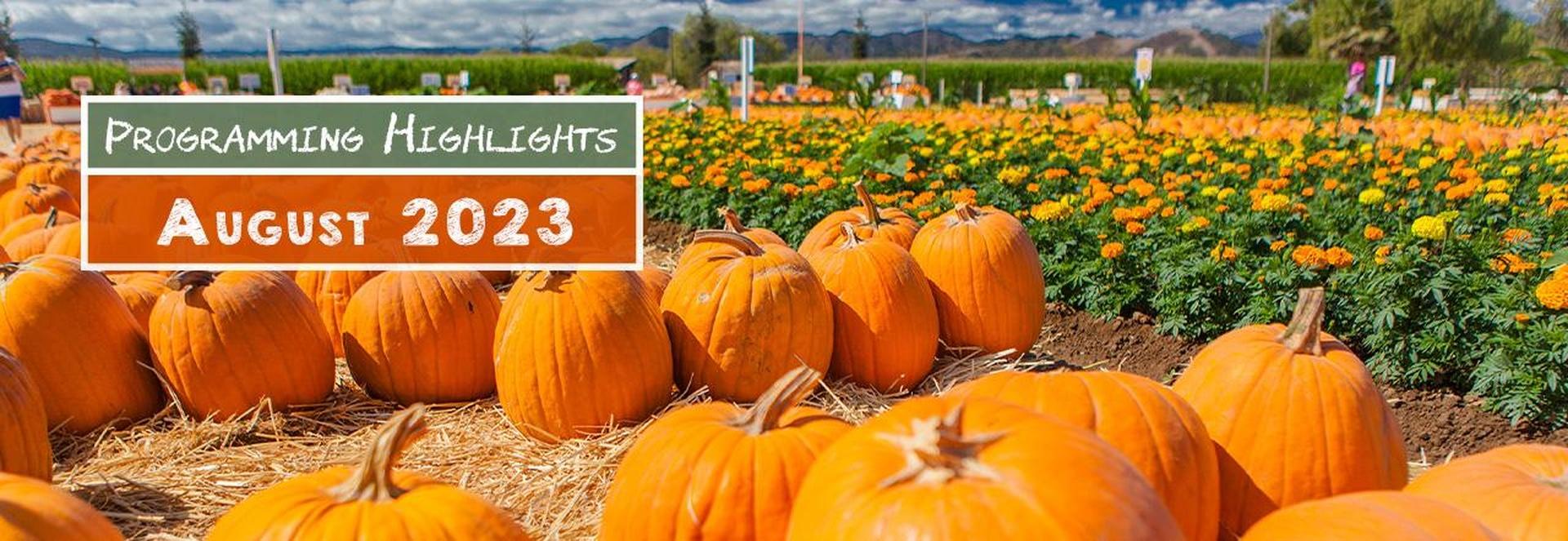 WTVP | Public Media for Central Illinois