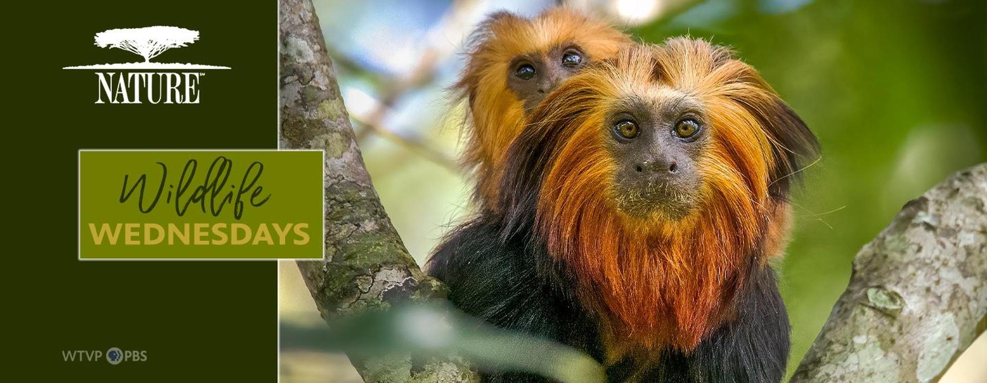 Nature | January 2024