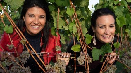 Wine First | Video | THIRTEEN - New York Public Media