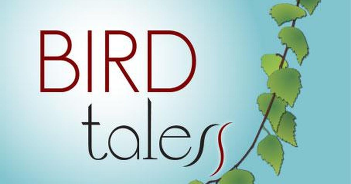 Bird Tales | PBS