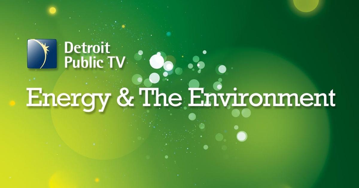 Energy & The Environment | PBS