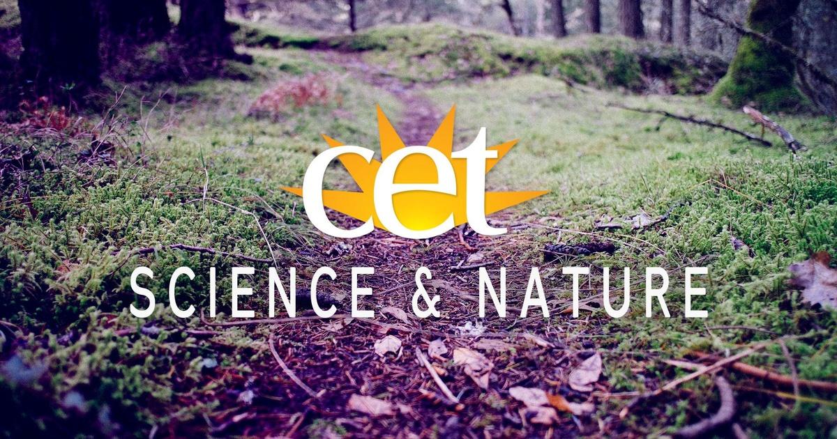 CET Science & Nature | PBS