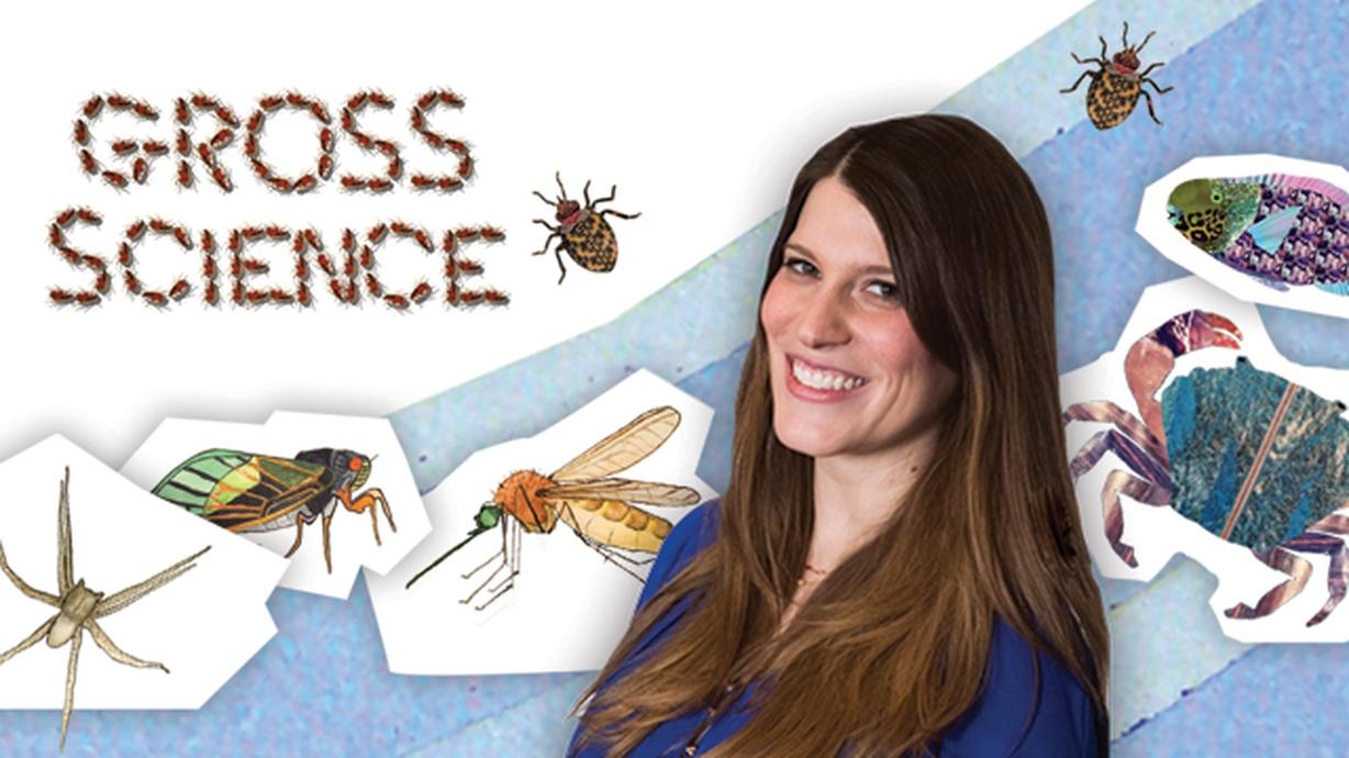 Gross Science | Watch on PBS Wisconsin
