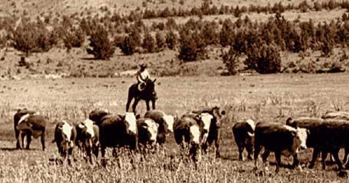 The Oregon Story | PBS