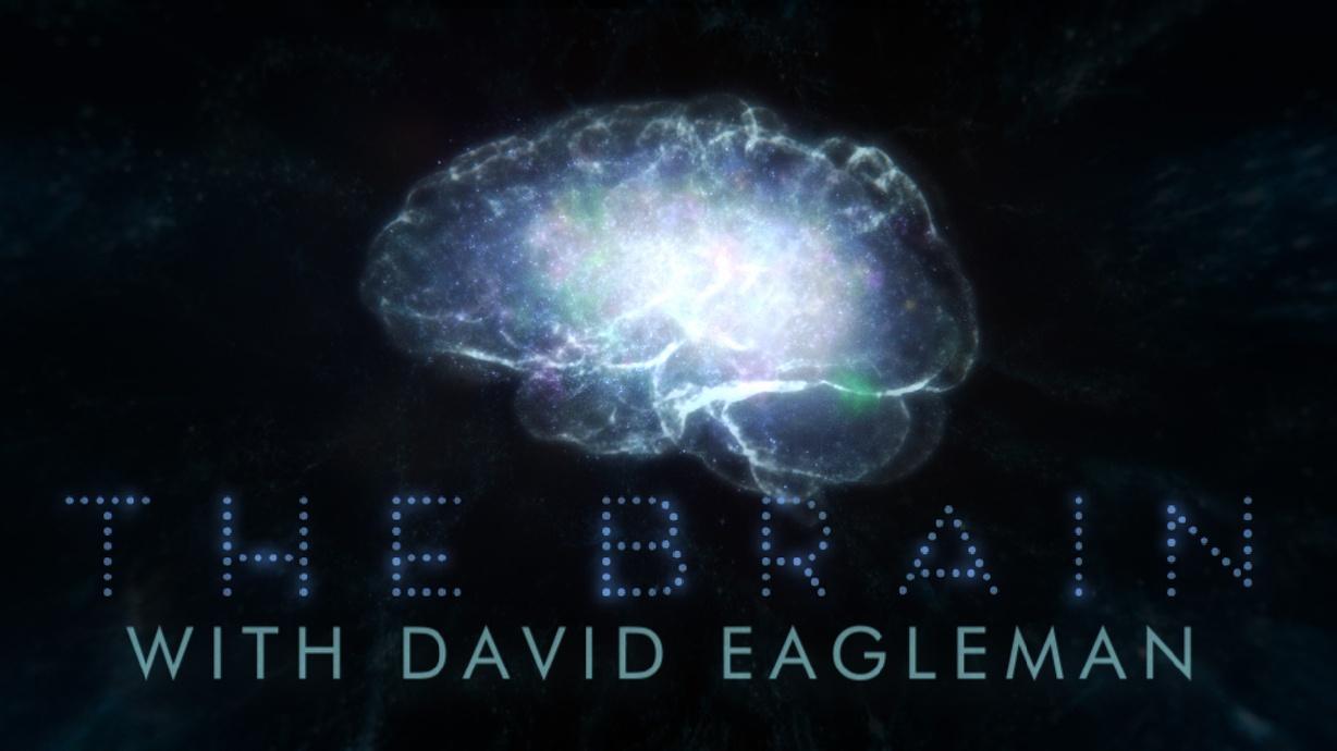 The Brain with David Eagleman | Watch on PBS Wisconsin