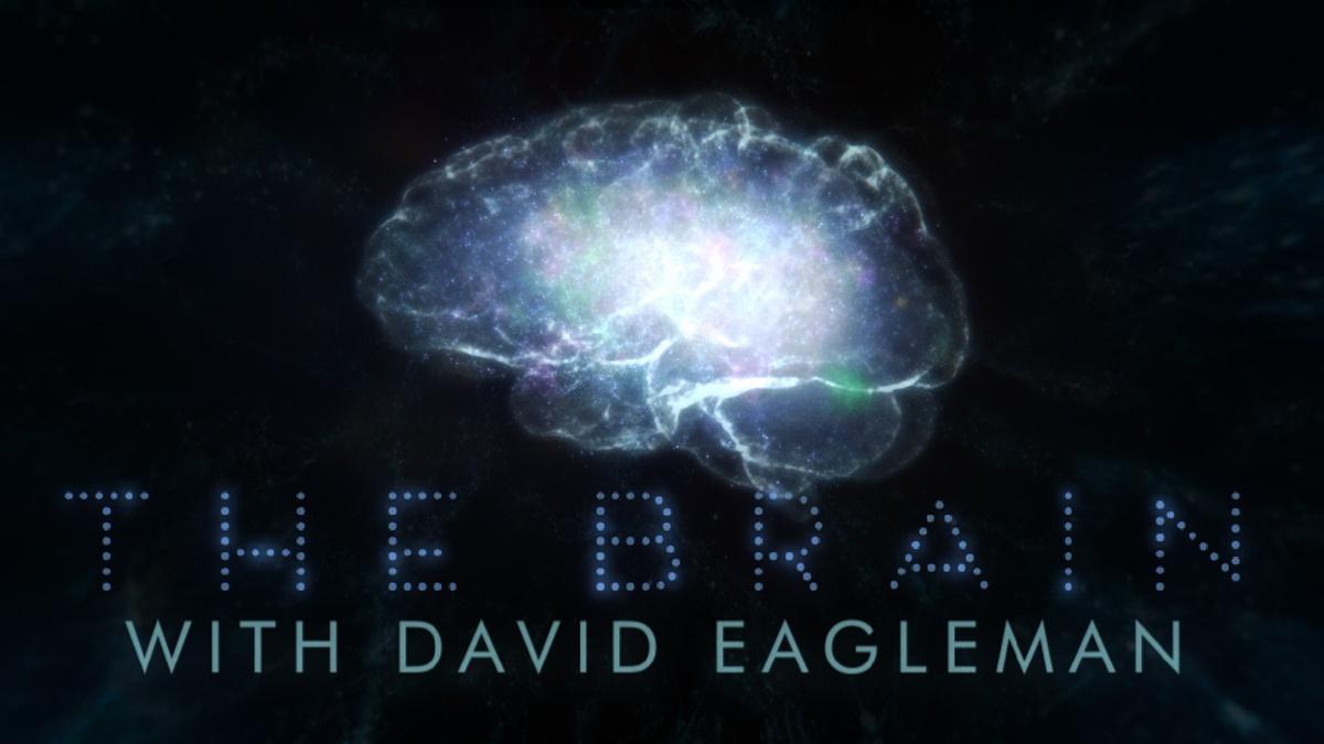 The Brain with David Eagleman | Video | NJ PBS