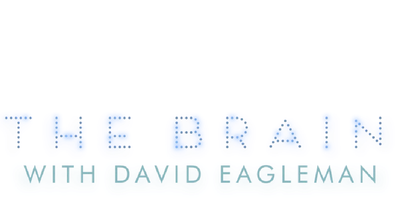 The Brain with David Eagleman | PBS