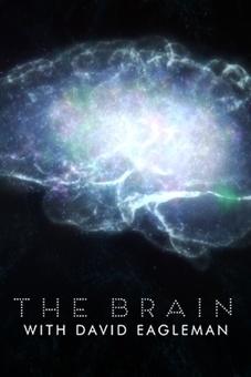 Watch NOVA PBS Full Episodes