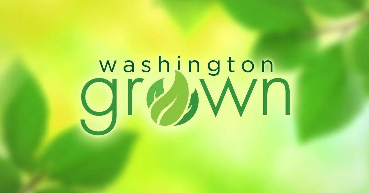Washington Grown | PBS