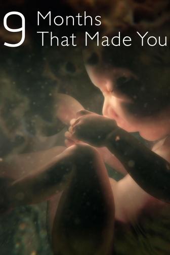 The Amazing Human Body | Video | NJ PBS