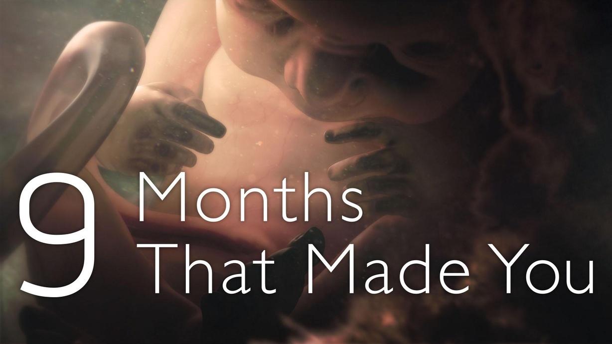 9 Months That Made You | Watch on PBS Wisconsin