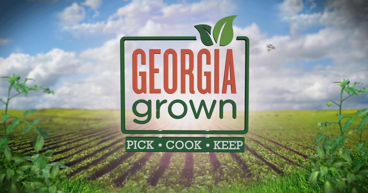 Pick, Cook, Keep | PBS