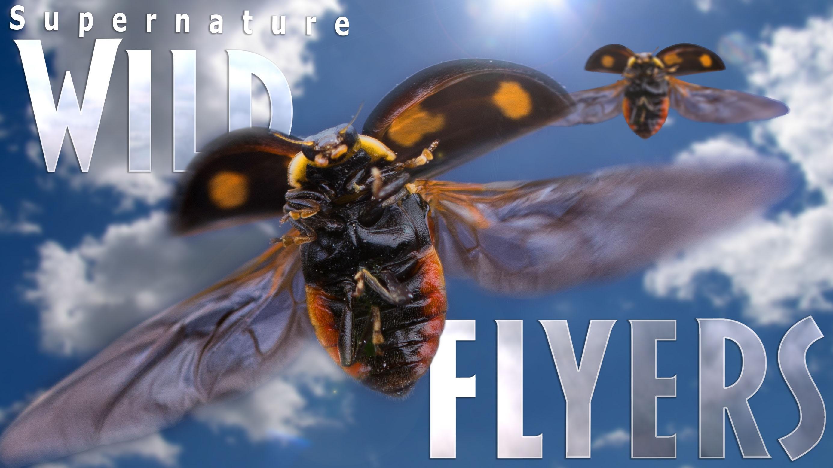 WHRO Radio & TV Programs, Podcasts, Episodes