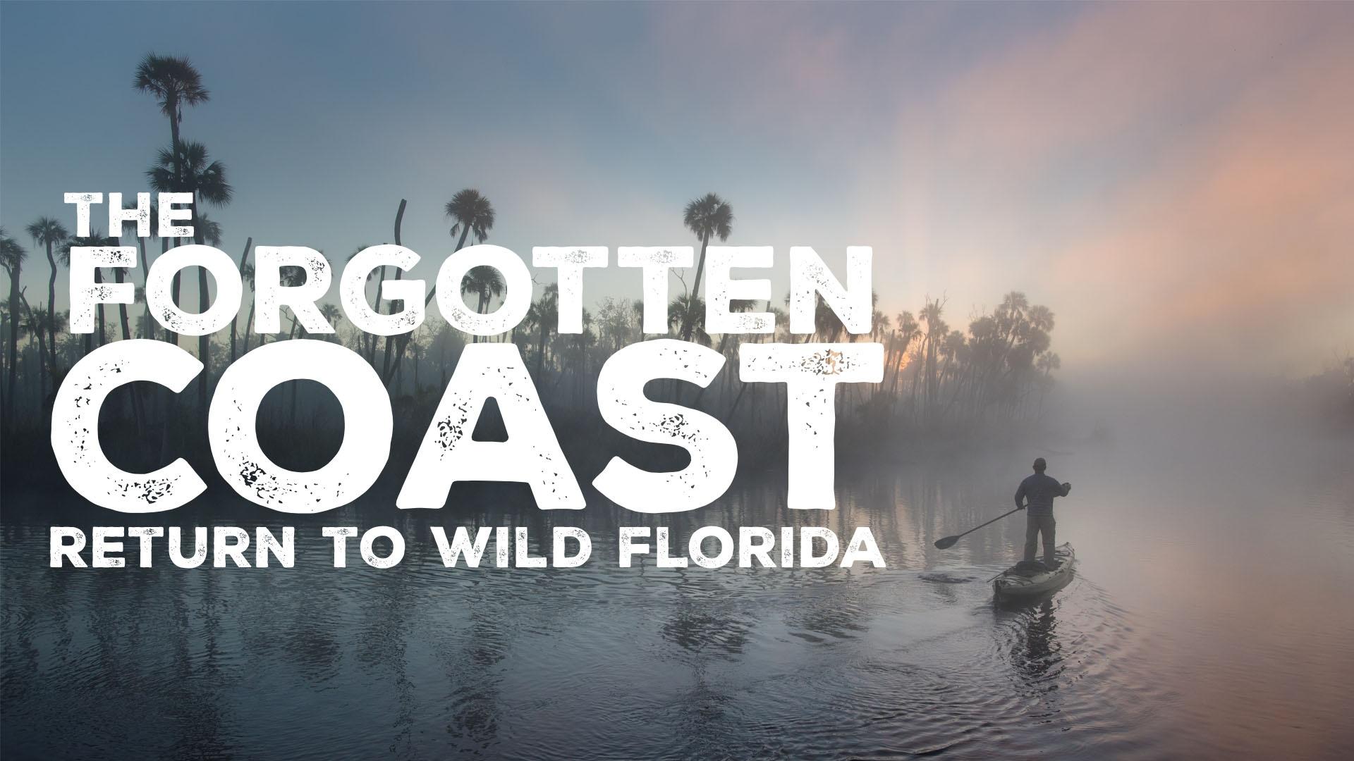 The Forgotten Coast: Return to Wild Florida | The Forgotten Coast ...