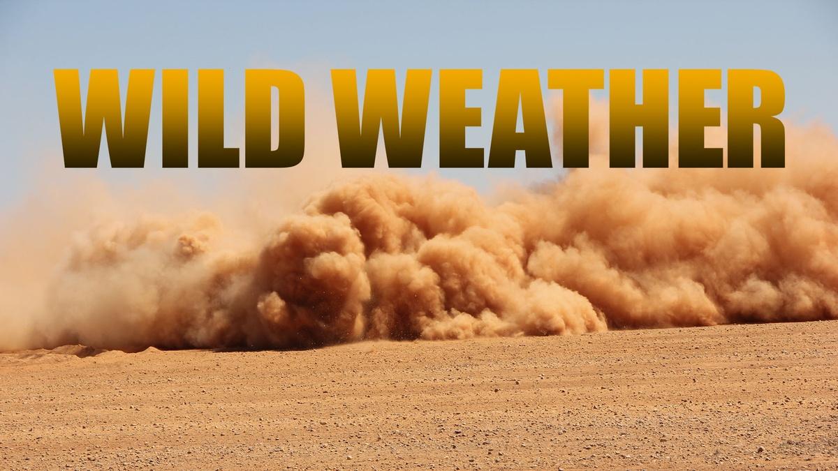 Wild Weather | Video | THIRTEEN - New York Public Media
