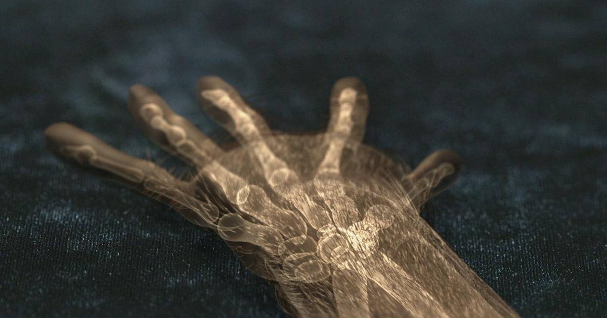 Your Inner Fish | PBS