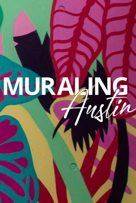Austin PBS Video