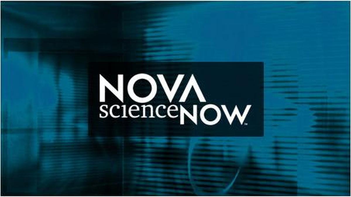 NOVA scienceNOW | Video | THIRTEEN - New York Public Media
