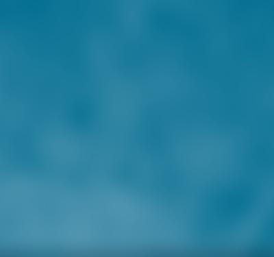 Brick by Brick | PBS