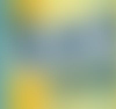 The Local Show | PBS