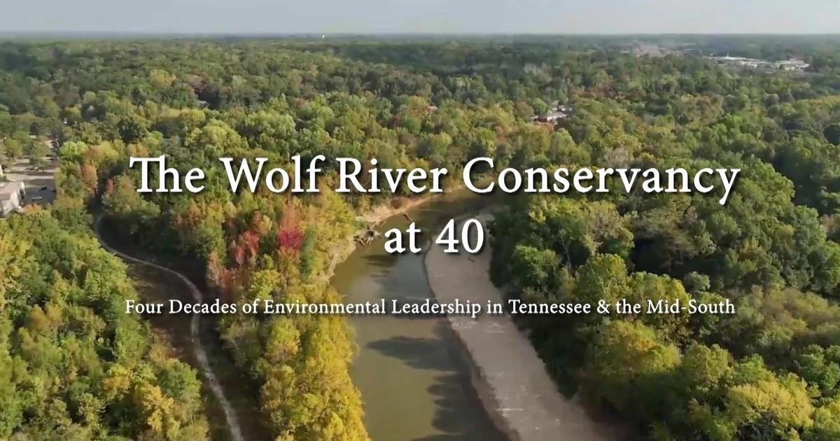 The Wolf River Conservancy at 40 | PBS