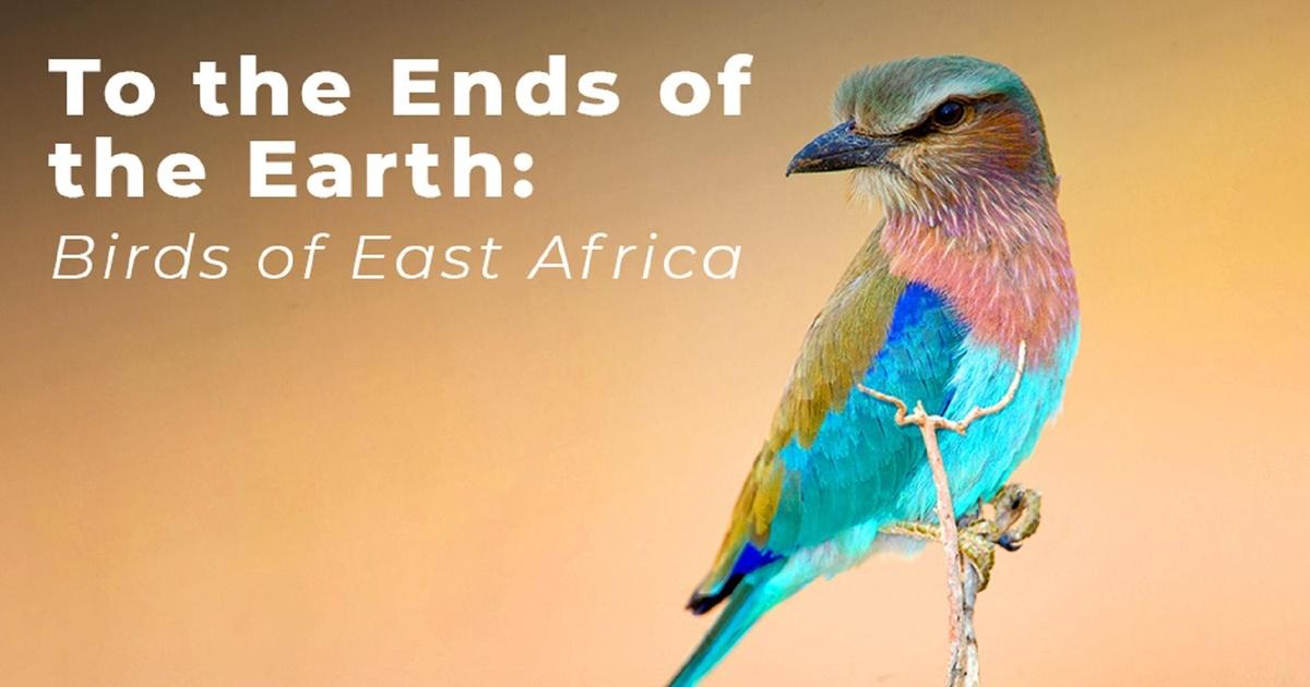 To the Ends of the Earth: Birds of East Africa | PBS