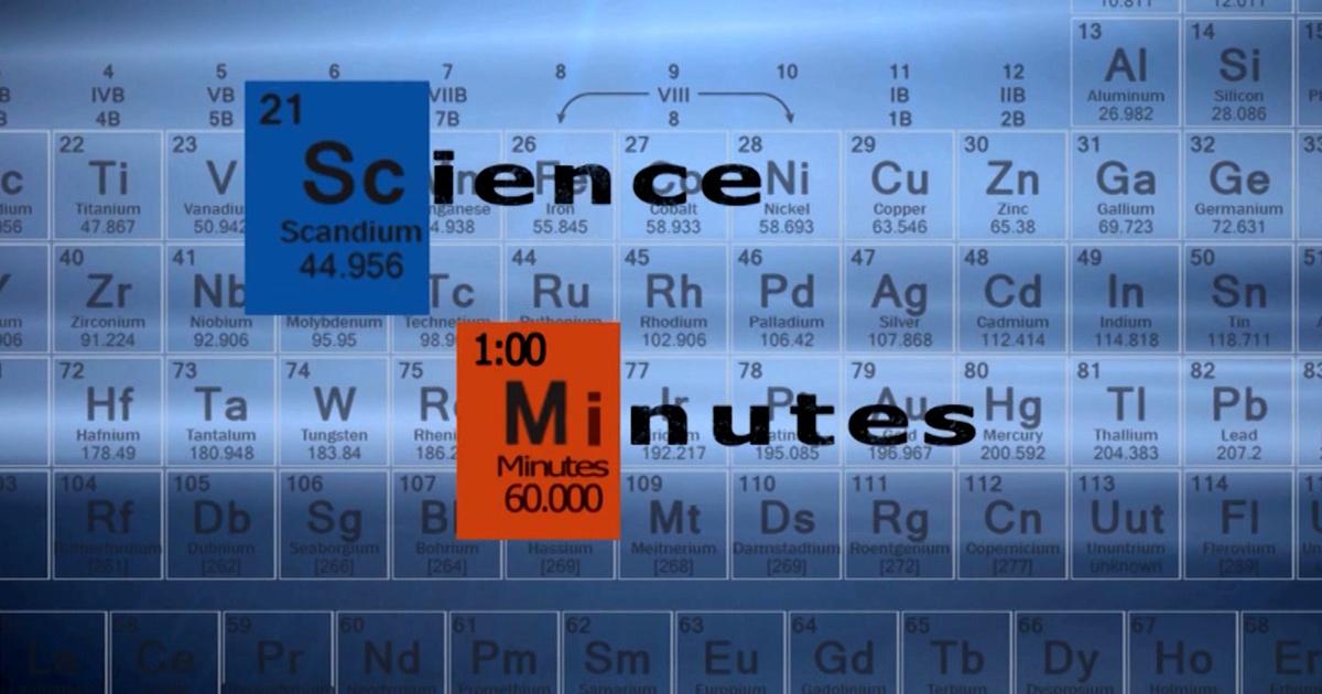 Science Minutes | PBS