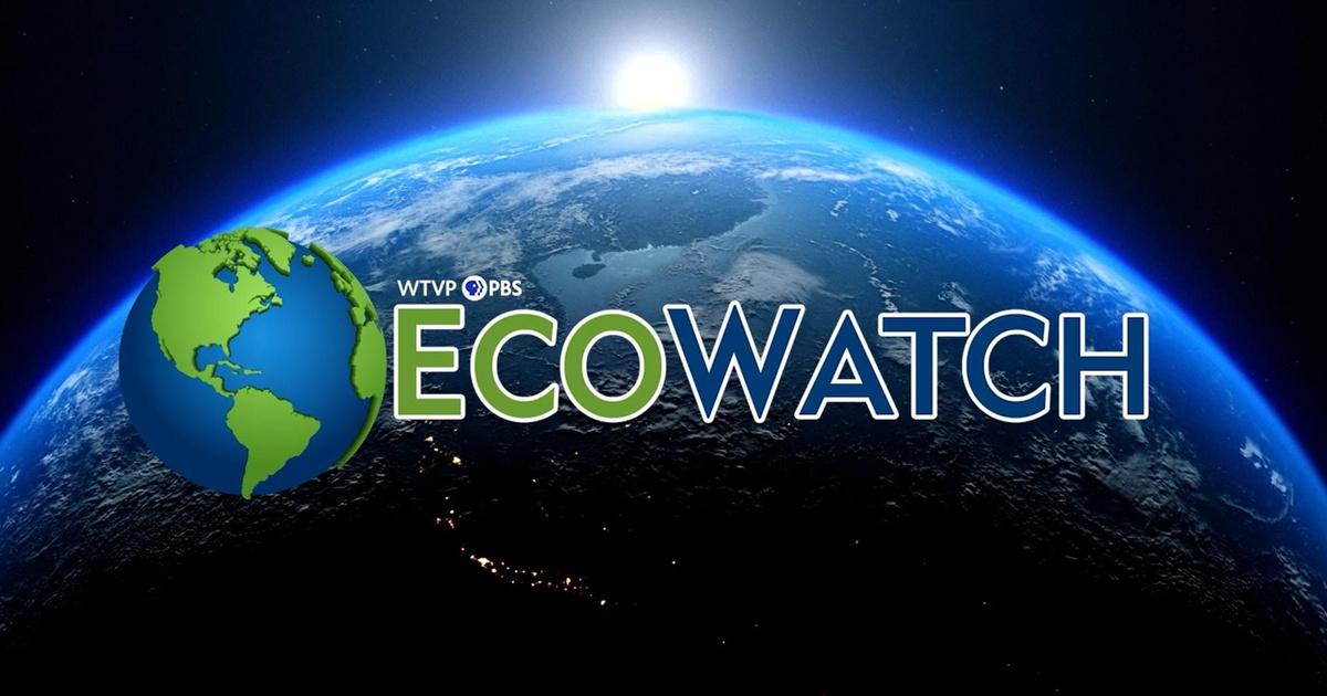 WTVP EcoWatch | PBS