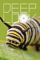 Human Footprint | PBS