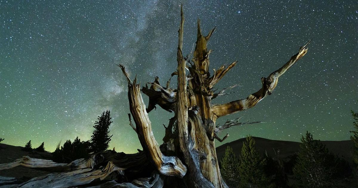 Planet California | PBS